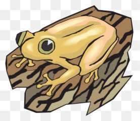 Frog Clip Art - Coqui Frog Png,Frog Clipart Png - free transparent png ...
