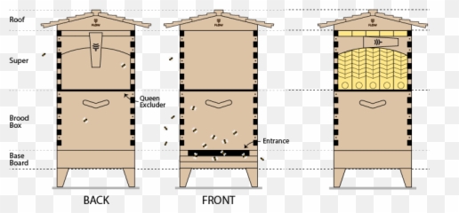 Beehive - Vertical Png,Bee Hive Png - free transparent png images ...