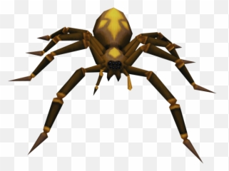 Jumping Spider Transparent Background - Jumping Spider Png,Spider ...