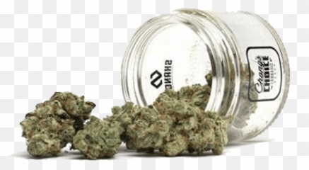 Free transparent 420 png images, page 1 - pngaaa.com