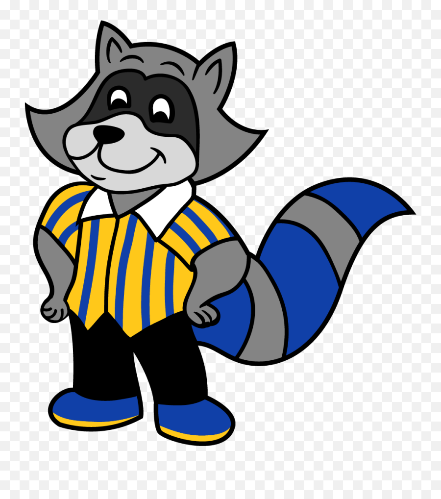 Raccoon Grade School - Clip Art Png,Raccoon Transparent Background ...