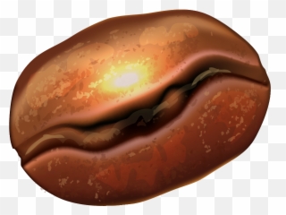 Chipotle - Pinto Beans Pinto Beans From Chipotle Png,Bean Transparent ...