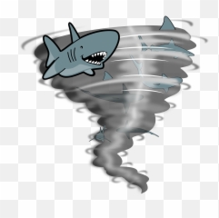 Basking Shark Alberni Charters - Basking Shark On White Background Png ...