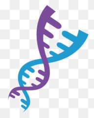 White Dna Icons Png Transparent - Dna Icon Png White,Dna Png - free ...