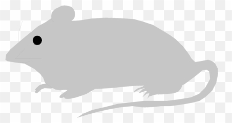 Mouse Animal Png Transparent Image - Real Mouse Png,Mouse Animal Png ...