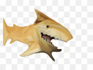 Basking Shark Alberni Charters - Basking Shark On White Background Png ...
