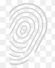 About Touch Id Fingerprint Sensor Security - Touch Id Png,Finger Print ...