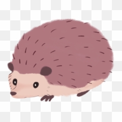 Cute Hedgehog Transparent Background - Hedgehog Png,Hedgehog ...