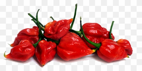 Ghost Pepper Png - Add To Cart Birdu0027s Eye Chili 242535 Fire,Hot ...