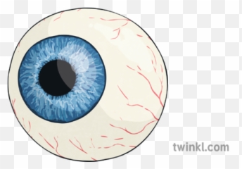 Eyeball - Free Medical Icons Circle Png,Eye Ball Png - free transparent ...