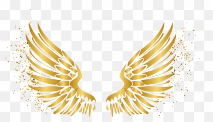 Plane Wing Transparent Png Image Free - Transparent Airplane Wing Png ...