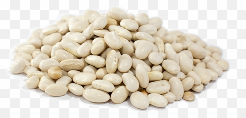 Chipotle - Pinto Beans Pinto Beans From Chipotle Png,Bean Transparent ...