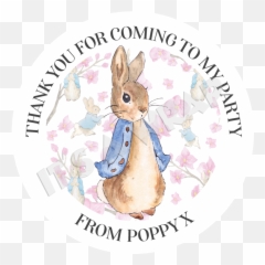 Benjamin Bunny And Three Ducklings - Benjamin Bunny Png Peter Rabbit ...