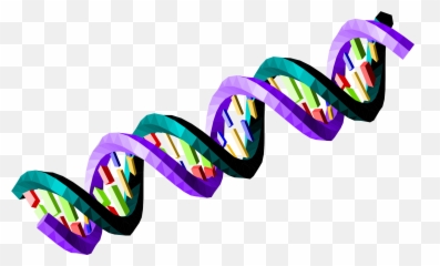 White Dna Icons Png Transparent - Dna Icon Png White,Dna Png - free ...