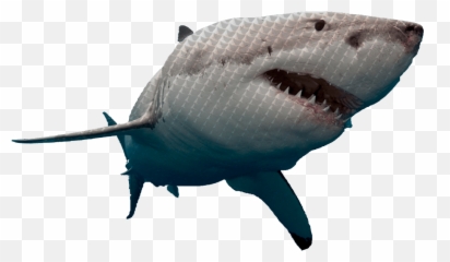 Shark Tank Logo Png - Shark Tank,Shark Tank Logo - free transparent png ...