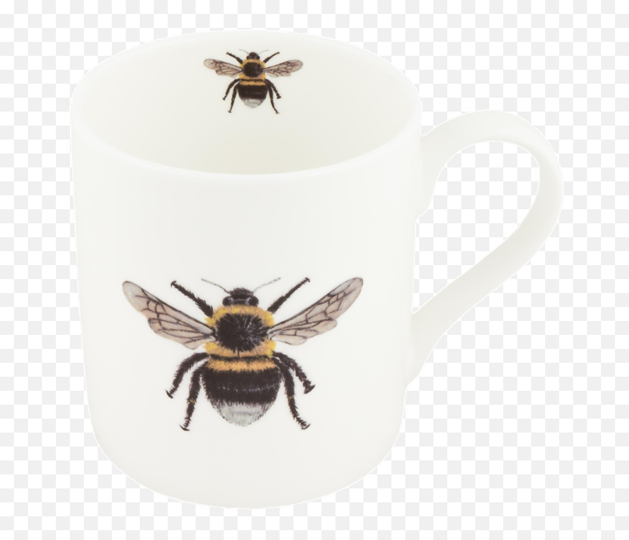 Insect Tall Mugs Png Mug Transparent - free transparent png images ...