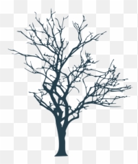 Tree Limb Png - Autumn Leaves Tree Branch Png Green Tree Birch Tree ...