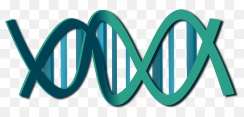 White Dna Icons Png Transparent - Dna Icon Png White,Dna Png - free ...
