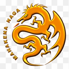 Pin - Southlake Carroll Dragons Png,Dragon Logo - free transparent png ...