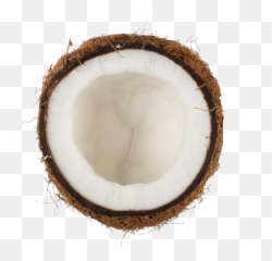 Coconut Transparent Bfdi - Bfdi Coconut Png,Coconut Transparent - free ...