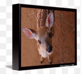 Foresee Hair - Bundle Hair Logo Png Transparent,Got Milk Png - free ...