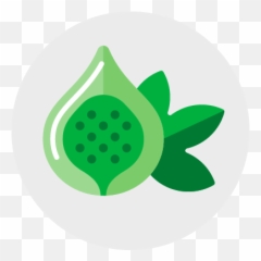 Announcing The Opencl And Opengl Compatibility Pack For - Language Png ...