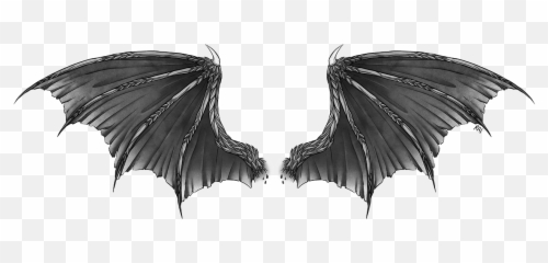 Plane Wing Transparent Png Image Free - Transparent Airplane Wing Png ...