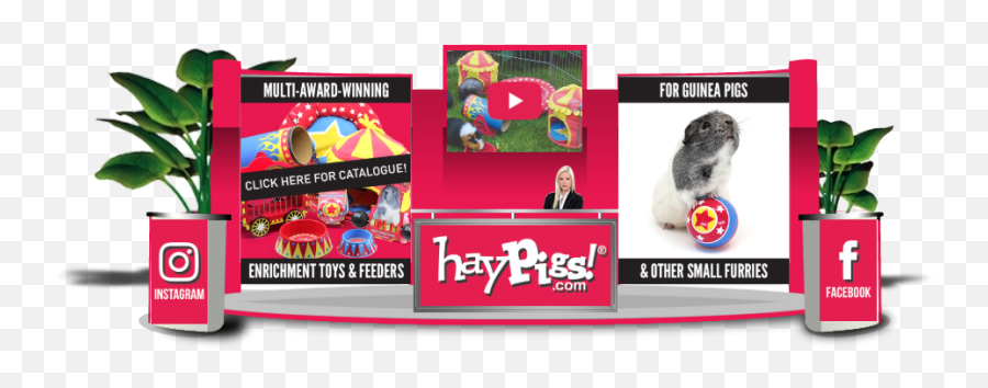 Guineapig U2014 Haypigs Guinea Pig Circus Blog - Virtual Tradeshow ...