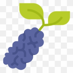Tangy Berry Bug Fables Wiki Fandom - Dot Png,Berry Icon - free ...