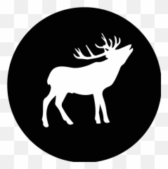 Shoprunner - Shoprunner Logo Png,Black And White Twitter Icon - free ...