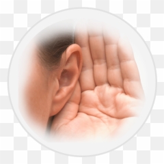 Hear - Cartoon Png,Hear Png - free transparent png images - pngaaa.com