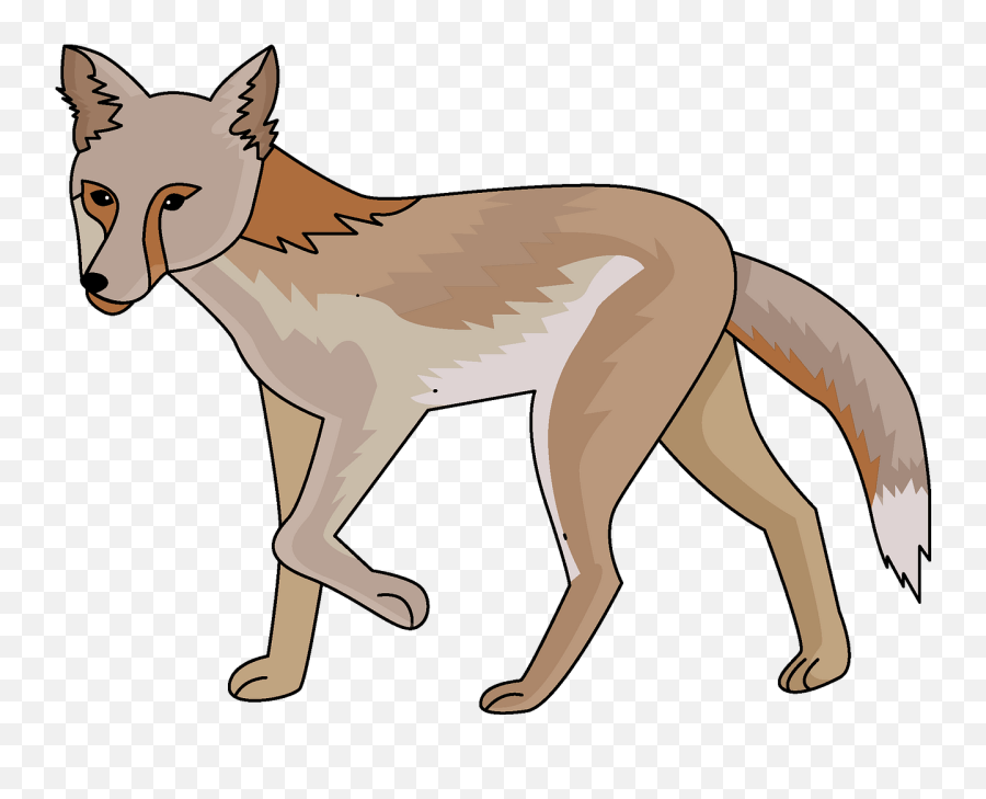 Jackal Clipart Free Download Creazilla - Swift Fox Png,Jackal Png - free transparent png images ...