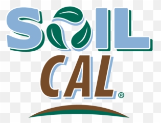 Cal State La Logo Png Transparent Svg - Cal State La,Cal Logo Png ...