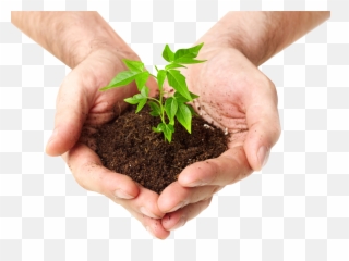 Super Smash Bros Ultimate Master - Master Hand And Crazy Hand Ultimate ...