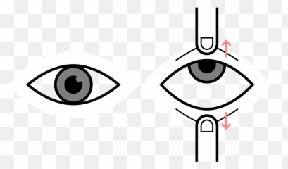 Lens Of Truth - Zelda Wiki Lens Of Truth Ocarina Of Time Png,Pink Icon ...