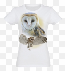 Guardians Owls Of Gahoole Wiki - Legend Of The Guardians The Owls Of Ga ...