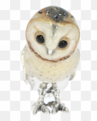 Guardians Owls Of Gahoole Wiki - Legend Of The Guardians The Owls Of Ga ...