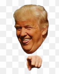 Transparent Trump - Headshot Of Donald Trump Png,Trump Head Transparent ...