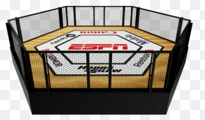Everlast Boxing Ring - Roblox Professional Boxing Png,Boxing Ring Png ...