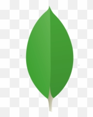 What Is Nosql Databases And Why To Choose In 2021 Png Icon - free ...