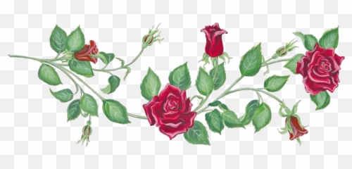 Rose Vines Png 5 Image - Rose Thorns Png,Rose Vine Png - free ...