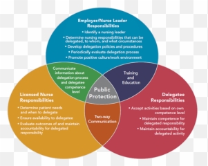 Venn Diagram Javascript - Dot Png,Transparent Venn Diagram - free ...