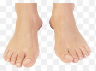 Feet Black Clipart - Foot Clipart Png,Feet Transparent - free ...