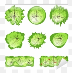 Topiary Png - Trees Top View Png,Tree Top View Png - free transparent ...