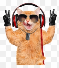 Chibi Miku - Dancing Chibi Cat Gif Full Size Png Download Chibi Hatsune ...