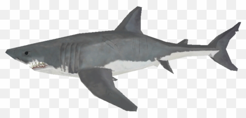 Great White Shark Png Transparent - Great White Shark Psd,Great White ...
