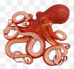Octopus Png No Background Clipart - Octopus Png,Octopus Png - free ...