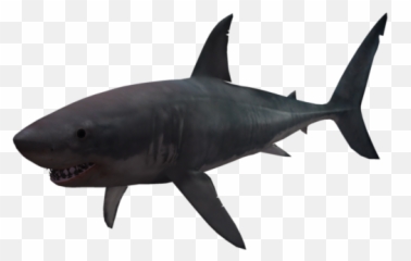 Shark Teeth Png Transparent Image Arts - Shark Teeth Decals,Shark ...