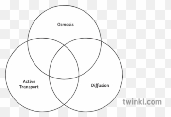 Venn Diagram Javascript - Dot Png,Transparent Venn Diagram - free ...