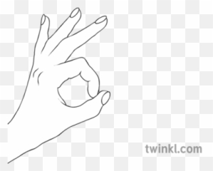 Download Gratuito Em Png E Svg - Got Em Hand Png,Ok Hand Sign Png ...
